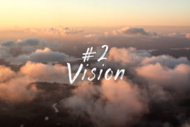 #2 Vision - NECTAR & PULSE